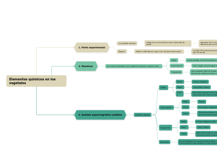 Elementos quimicos en los vegetales - Mind Map